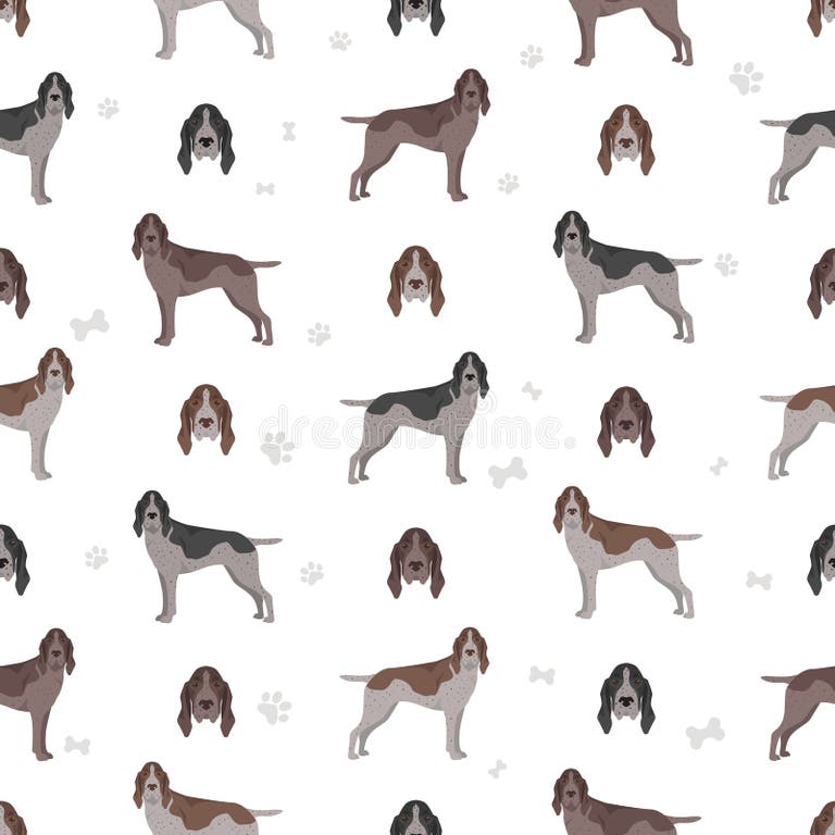 Burgos Pointer Seamless Pattern. Different Coat Colors and Poses Set ...