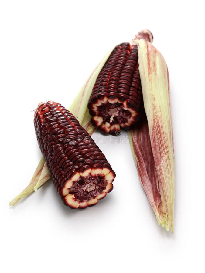 Burgundy Color Sweet Corn Isolated White Background Stock Photos - Free ...