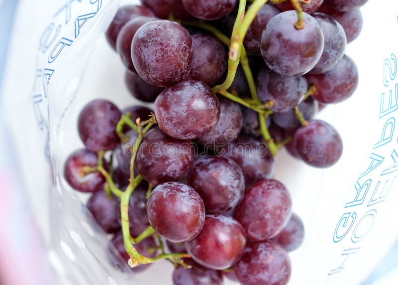 Burgundy Grapes in the Package. Large Bunch of Berries Stock Image ...