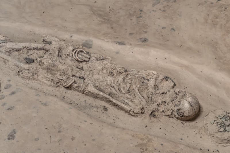 Burial Skeleton Human Bones from Ancient Grave Stock Photo - Image of ...
