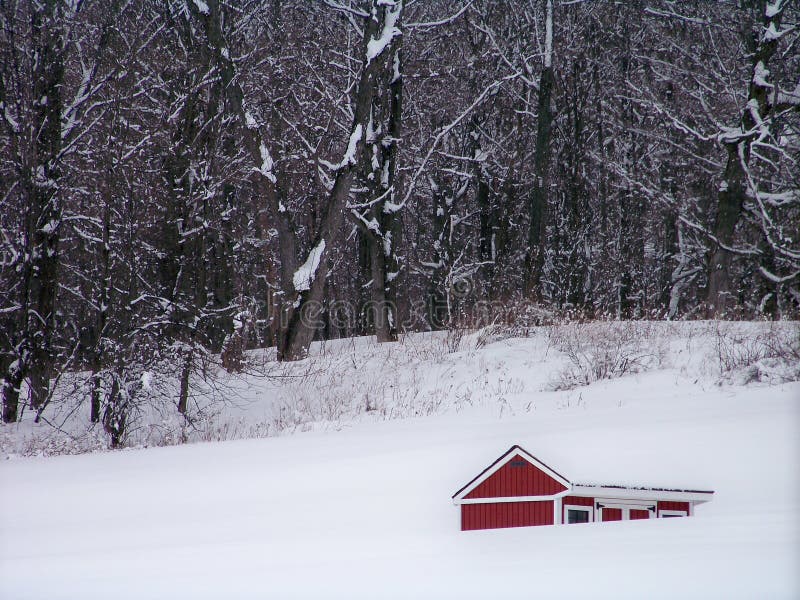 Buried Shed stock photo. Image of winter, trees, buried - 13280898