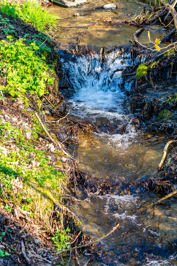 Burine Park Stock Photos - Free & Royalty-Free Stock Photos from Dreamstime