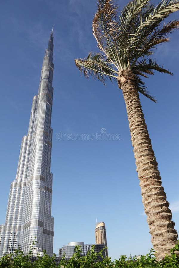 Burj Dubai palm tree editorial photo. Image of gulf, construction ...