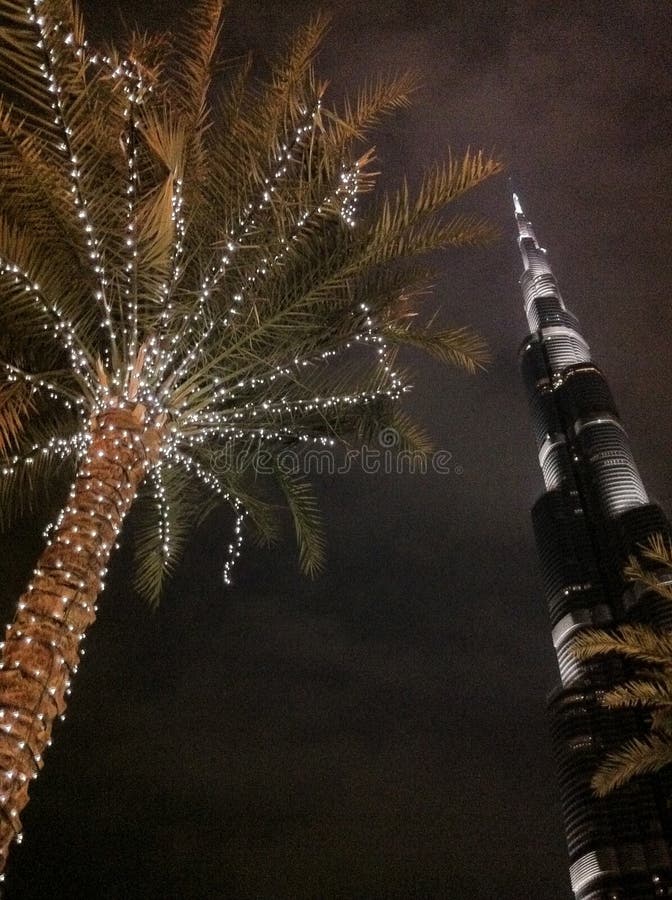 Burj Khalifa and Lit Palm Tree Editorial Stock Image - Image of raise ...