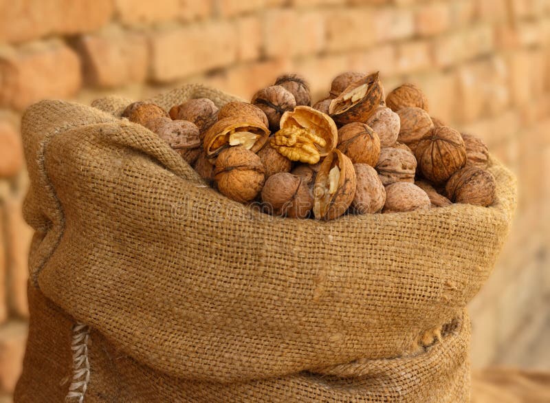 Burlap Sack Filled with Walnuts Stock Image - Image of ingredient ...