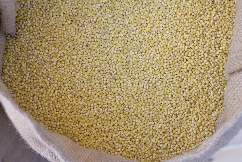 Burlap Sack with Raw Millet or Oat Stock Image - Image of cereal ...