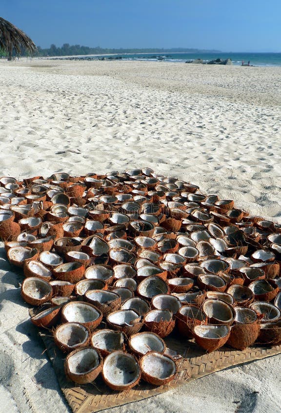 Burma. Coconut Shells Drying Stock Image - Image of coconut, bowls: 2743825