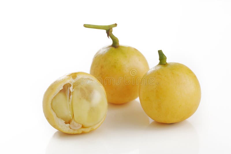 Green Burmese grape stock image. Image of burmese, green - 26406773