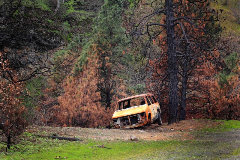 Burn Area stock image. Image of insurance, decline, hollowed - 51987763