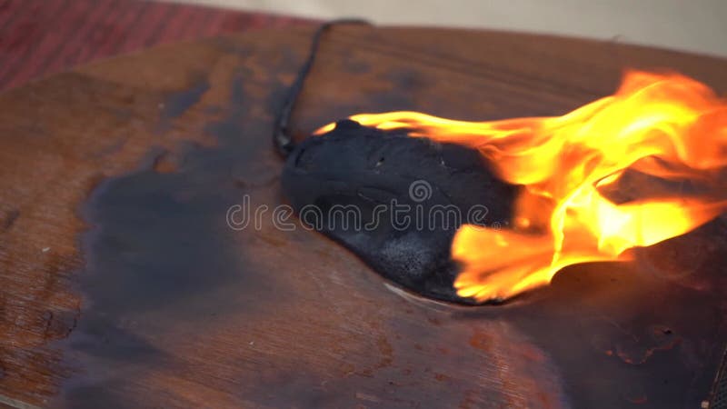 Burn the Computer Mouse. Concept, a Computer Mouse Caught Fire from ...