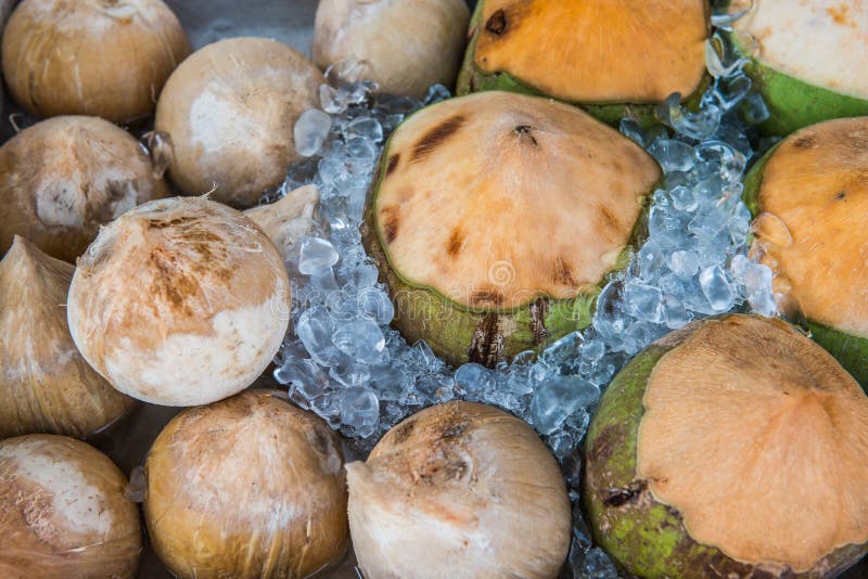 Burn cooked coconut on Ice stock image. Image of pile - 263711957