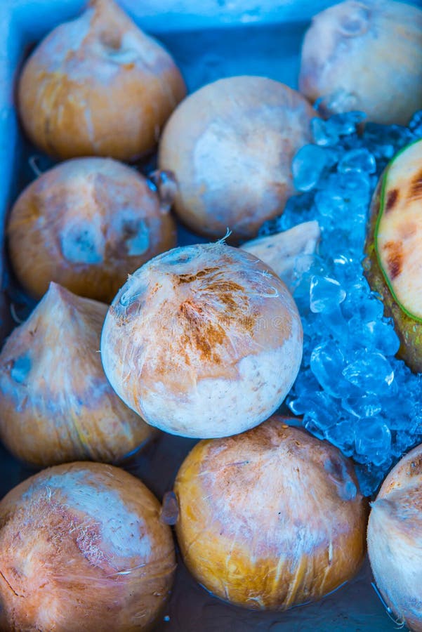 Burn cooked coconut on Ice stock image. Image of health - 263711959