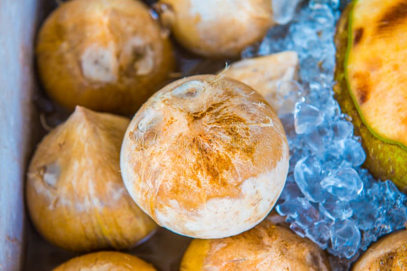 Burn cooked coconut on Ice stock photo. Image of pile - 263711964