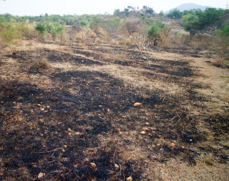 Burn with Fire Ground in Wild Stock Photo - Image of flame, bushes ...