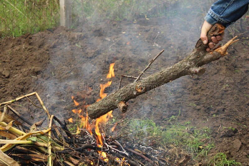 Burn a fire in nature stock image. Image of picnic, smoke - 202554493