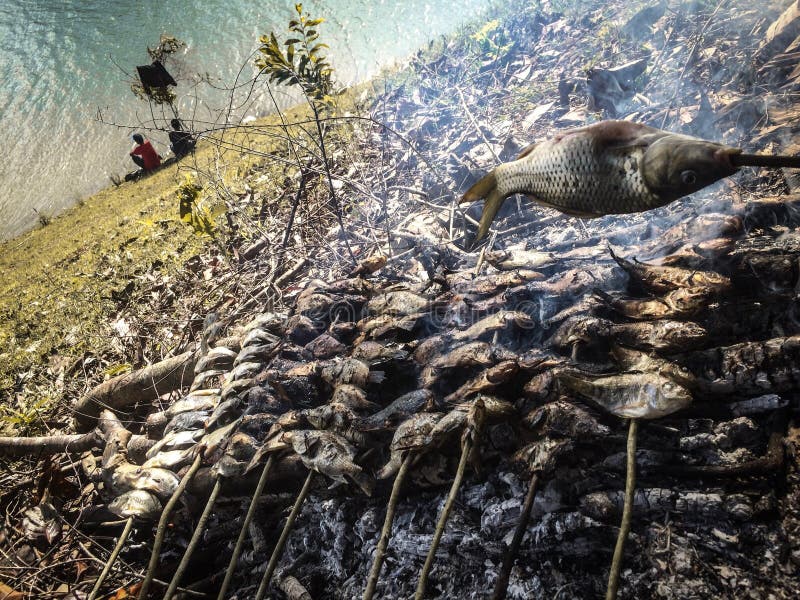 Fishing editorial photo. Image of burn, fish, fishing - 128853211