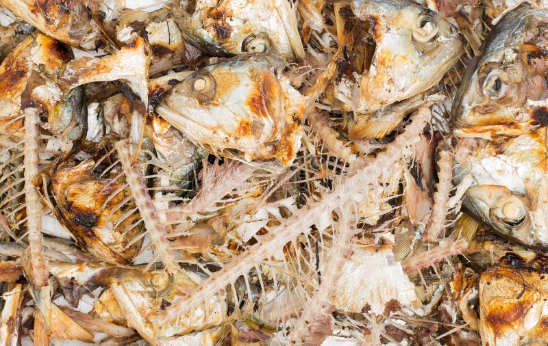 Fish bone stock photo. Image of meal, cuisine, dine, lunch - 14627218