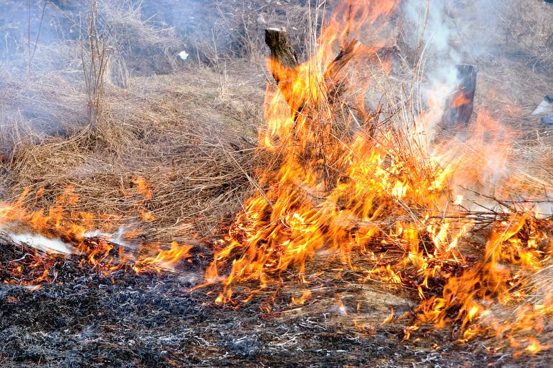 Burn off dry grass stock image. Image of area, horizontal - 13624235