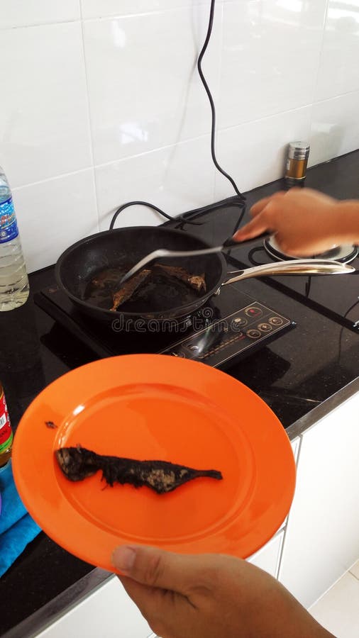 Burn out fish editorial photography. Image of heat, grilling - 64144397