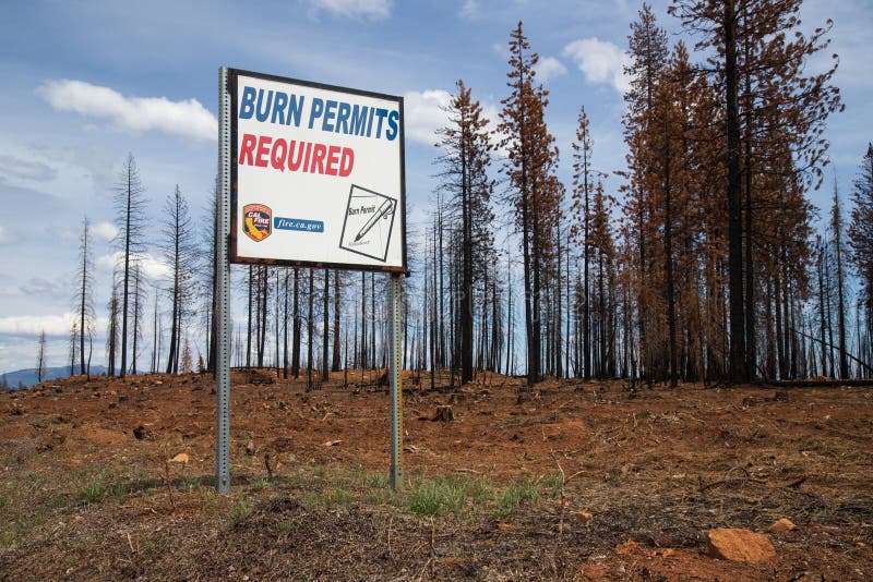 Damage from the Dixie Fire Surround Crumbaugh Lake in Lassen Stock ...