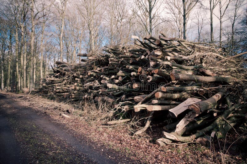 Burn pile stock image. Image of paper, forestation, materials - 23580017