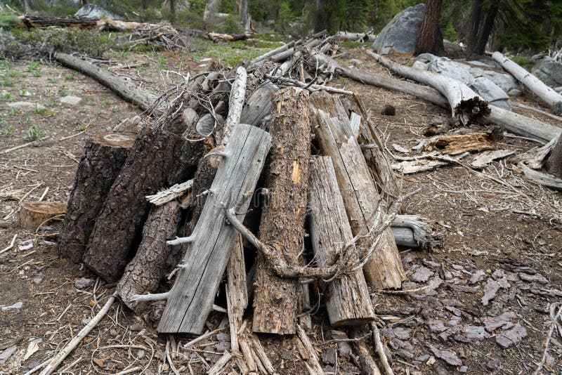 Burn Pile in the Forest stock photo. Image of burn, health - 266524196