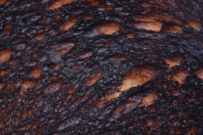 Burn Toast Bread Texture Close Up Stock Photo - Image of burn, bread ...