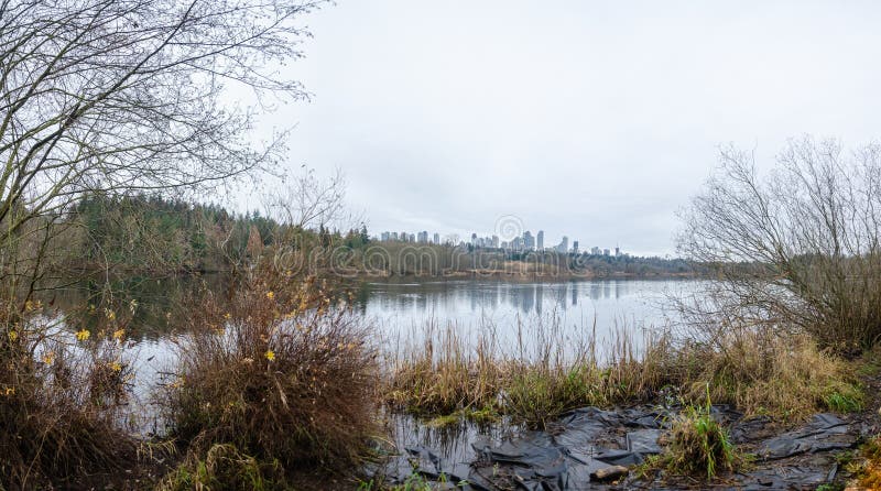 Burnaby Deer Lake Park, BC, Canada Stock Photo - Image of america, city: 400877436