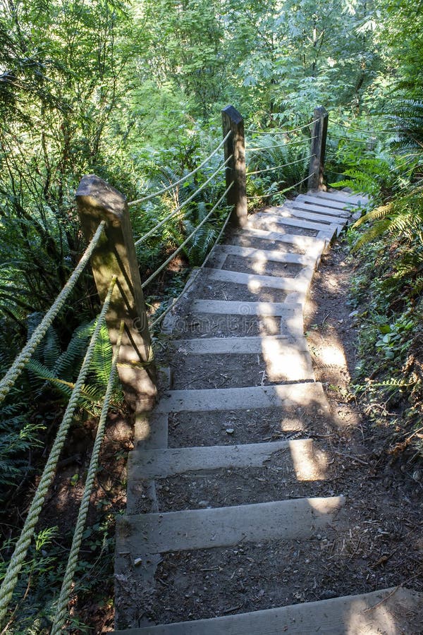 Burnaby Mountain Conservation Area, in British Columbia, Stock Photo ...
