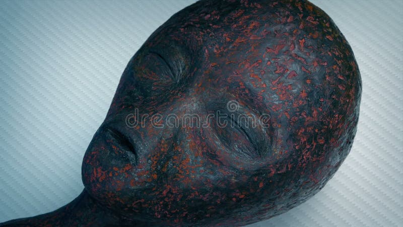 Burned Alien Corpse Uncovered and Covered Up in Laboratory Stock ...