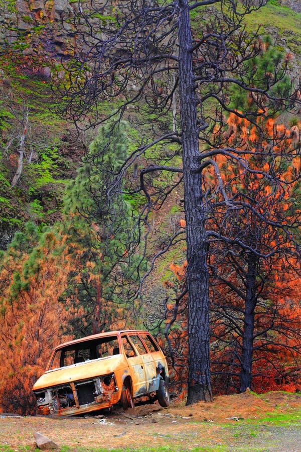 Burned Area stock image. Image of burned, environment - 52162643