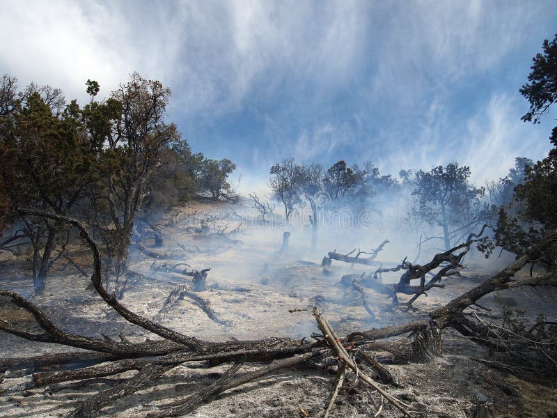 Burned Area stock photo. Image of outdoor, smoke, wildfire - 30807102