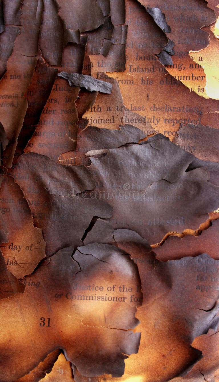 852 Burned Book Cover Stock Photos - Free & Royalty-Free Stock Photos ...
