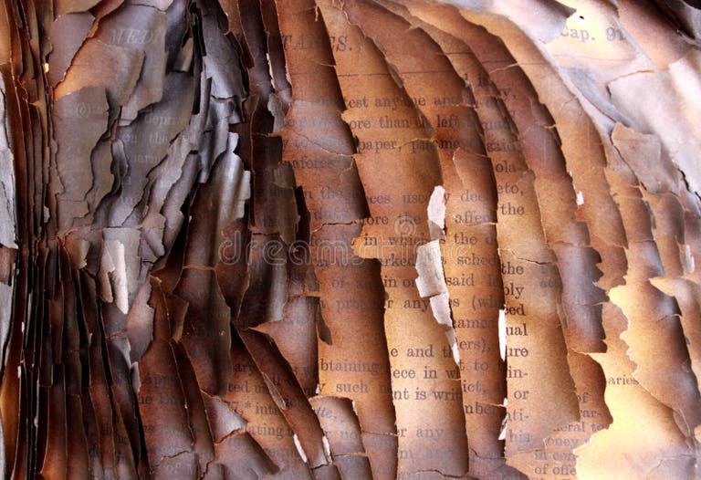 Burned book stock photo. Image of learning, lights, ashes - 7425696