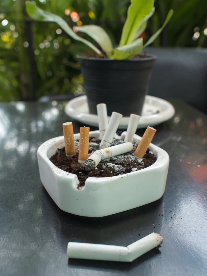 Burned-out cigar stock photo. Image of nicotine, lung - 2883860