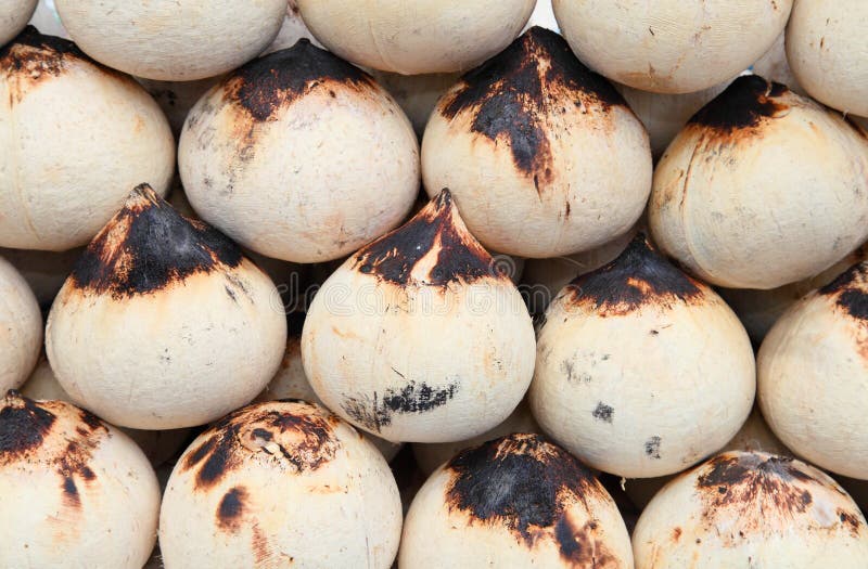 Burned Coconut, Ready To Drink and Eat Inside. Stock Photo - Image of ...