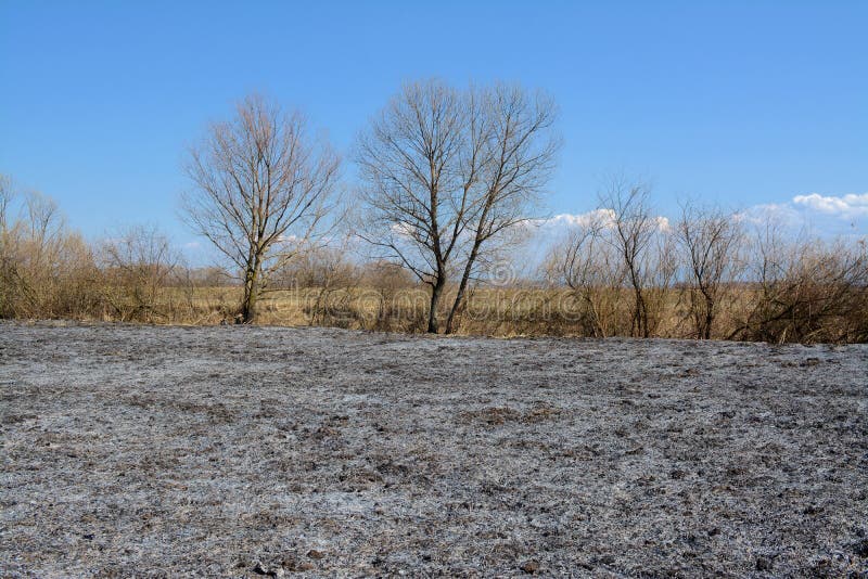 Burned field stock image. Image of shadow, cereals, smoke - 48424657