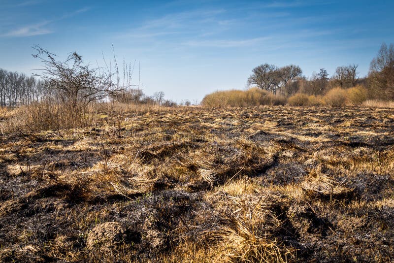 Burned field stock image. Image of nature, daylight, cottage - 38665603
