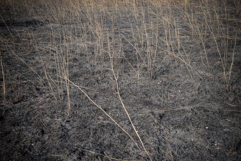 Burned Field and Scorched Earth Stock Image - Image of burned, field ...