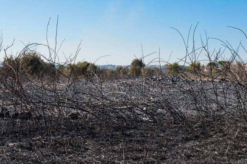 Burned Field and Scorched Earth Stock Image - Image of sadness ...