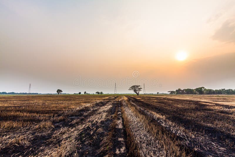 Burned fields stock image. Image of danger, inferno, farm - 30467951