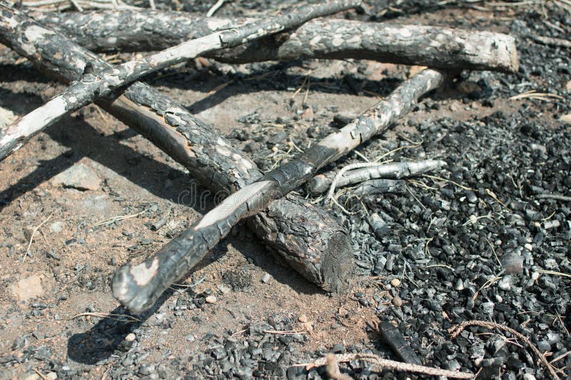 Burned fire place stock photo. Image of camp, outdoor - 49129448