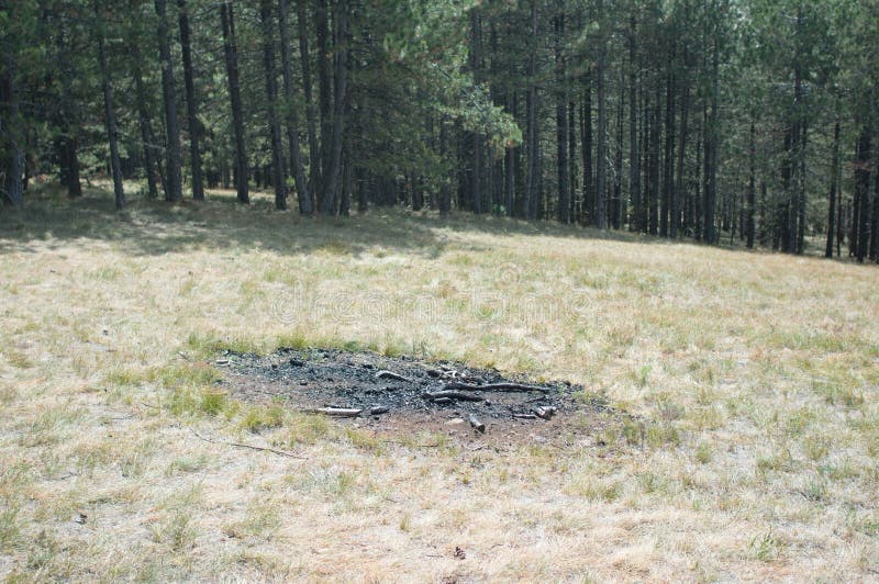 Burned Fire Place in Forest Stock Photo - Image of burnt, forest: 49129340