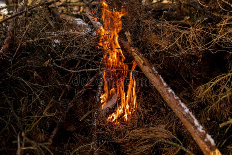 Burned Firewood in Fireplace and Fire Close Up Stock Photo - Image of ...