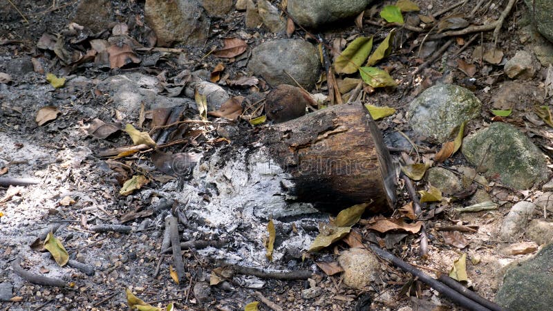 The Fire that Was Smoldering Outside the Room, Had Burned Down a ...