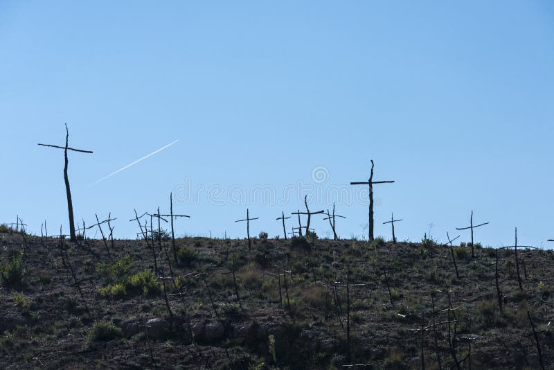 12,107 Desolate Forest Stock Photos - Free & Royalty-Free Stock Photos ...