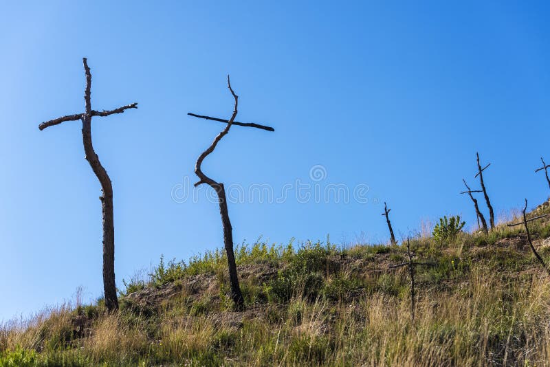 Burned Forest Full of Crosses Made with Branches Stock Image - Image of ...