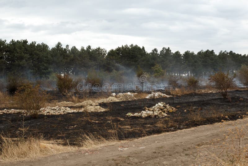 Burned forest ground stock photo. Image of dark, damaged - 76515716