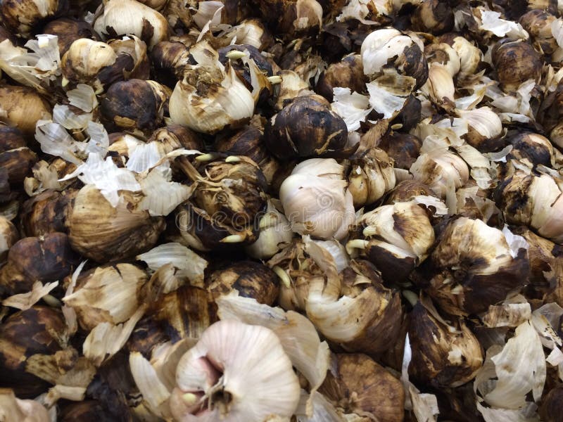 Group Of Burned Out Light Bulbs. 2 Stock Photo - Image of expired ...