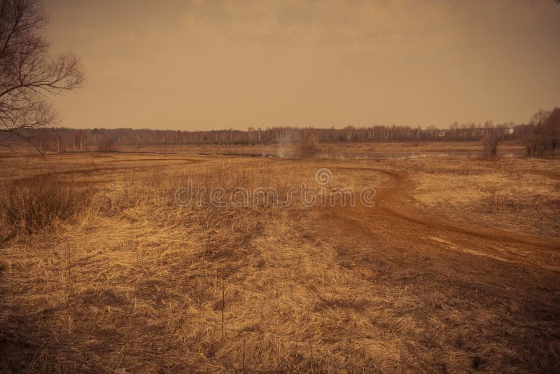 Burned Grass in the Field stock photo. Image of ashes - 96155654